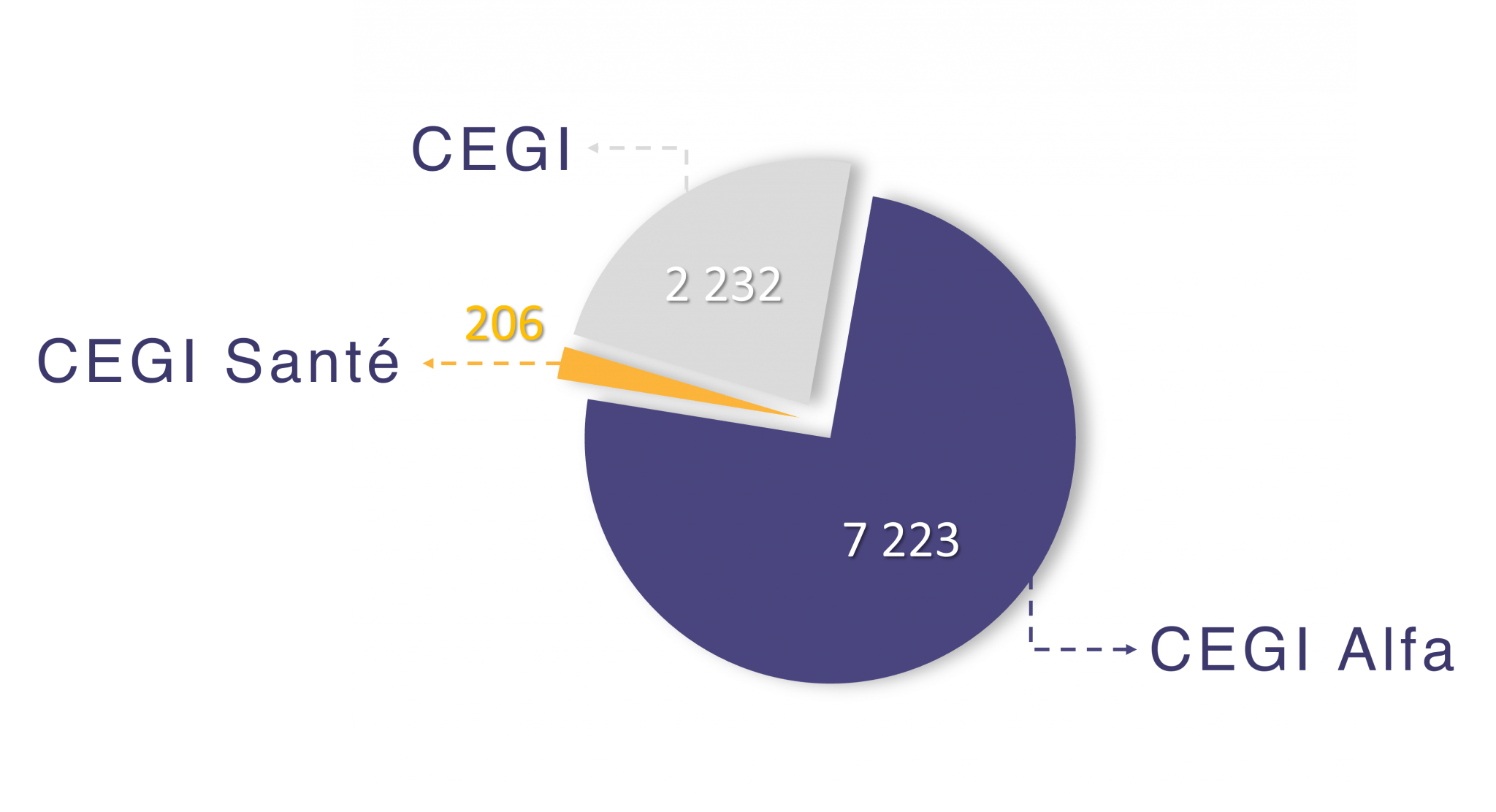 Formations du Groupe CEGI